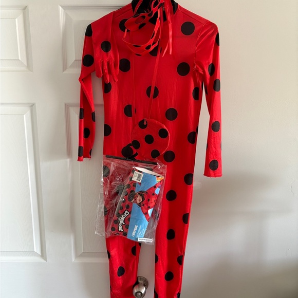 miraculous ladybug | Costumes | Red And Black Superhero Costume ...
